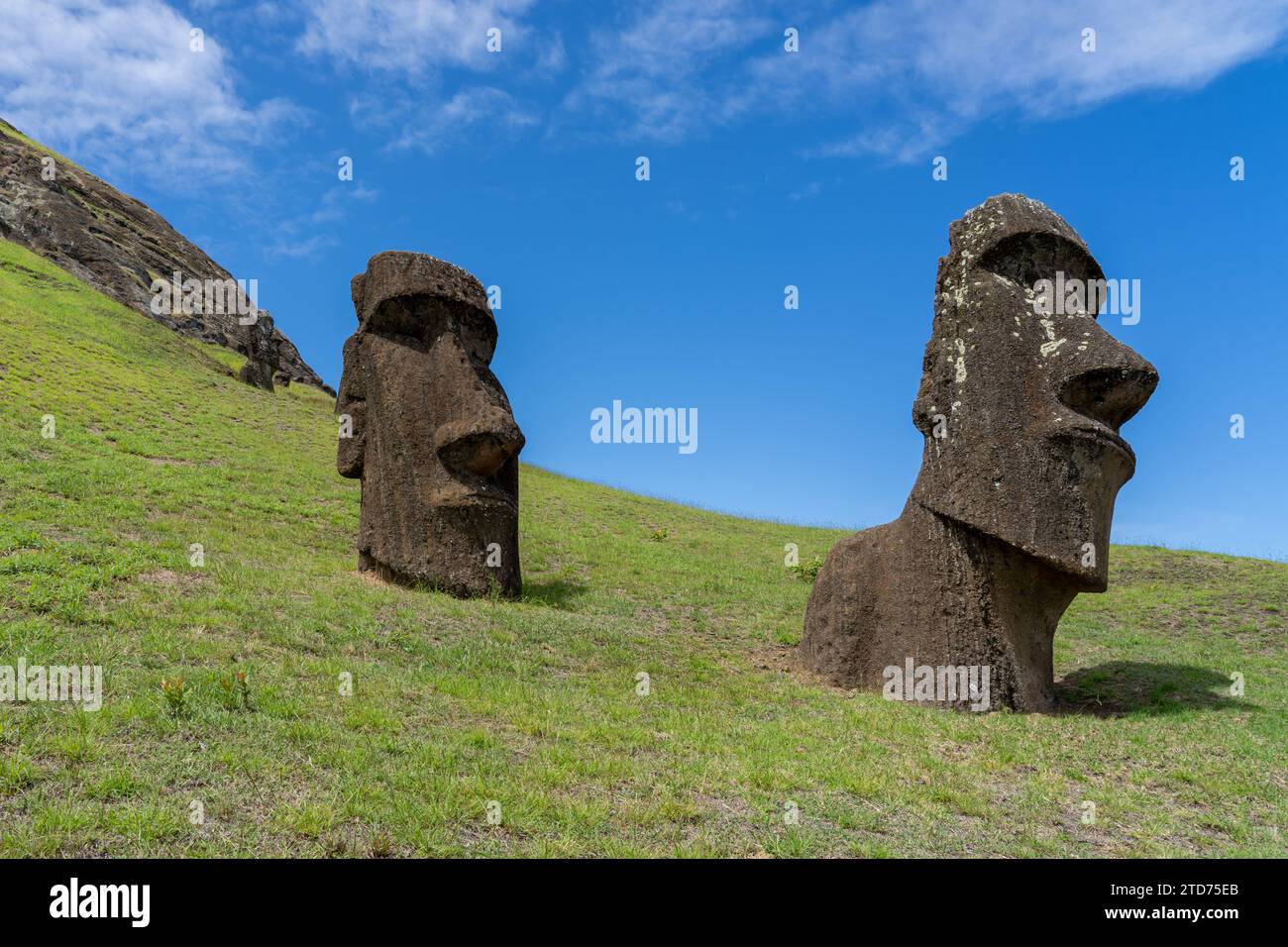 Moai Hinariru (on the right), the “crooked neck” moai, at Rano Raraku ...