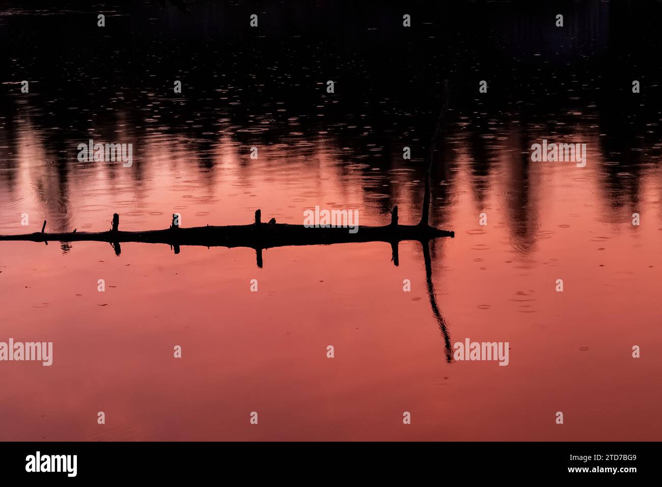 Rain and sunset on Fawn Lake, Olympic Peninsula, Washington State, USA ...