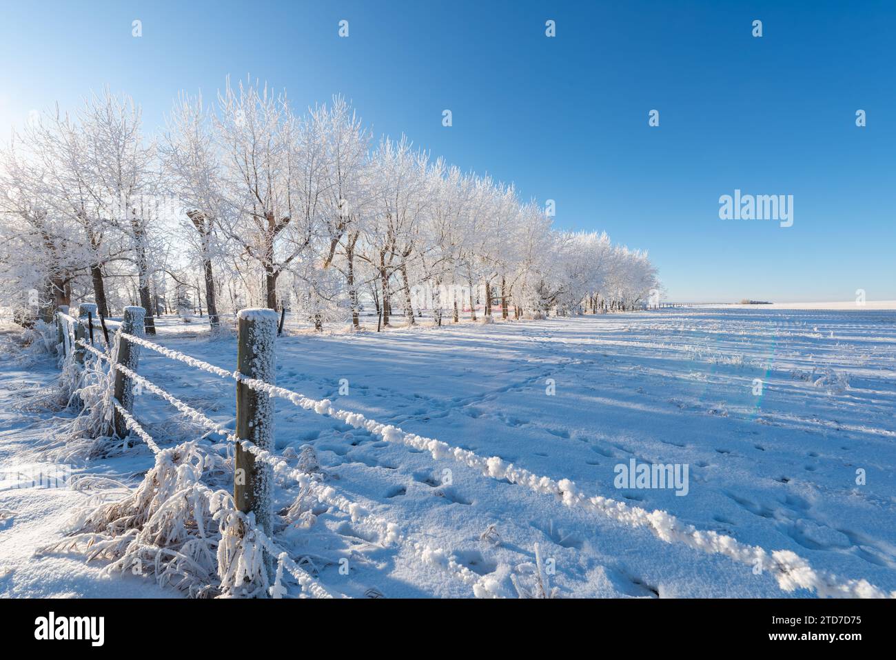 Prairie provinces hi-res stock photography and images - Alamy