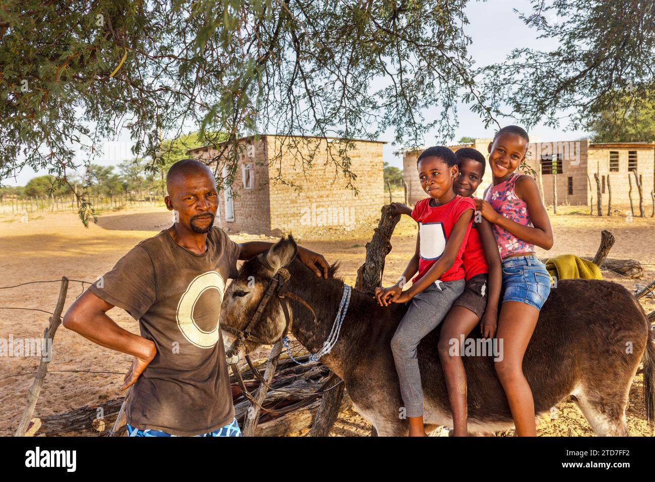 three african girls having fun riding a donkey at an domestic animal ...