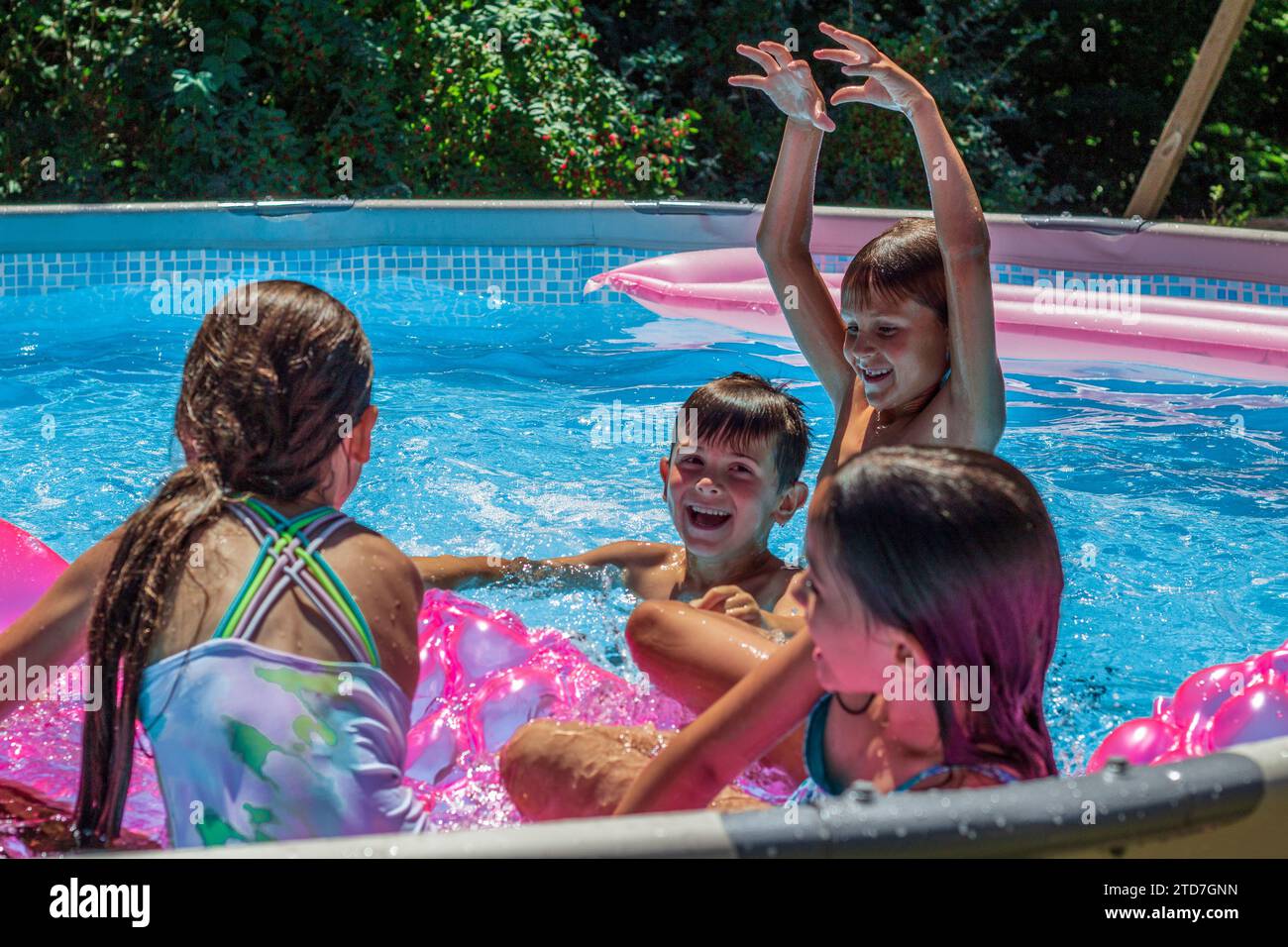 Backyard pool kids hi-res stock photography and images - Alamy