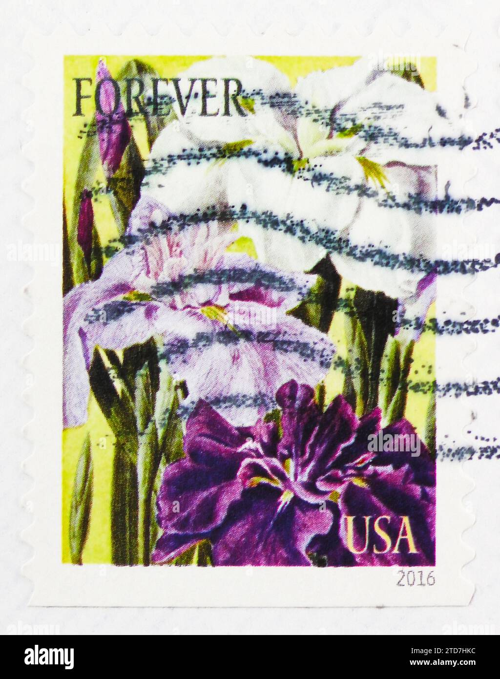 MOSCOW, RUSSIA - NOVEMBER 19, 2023: Postage stamp printed in United ...