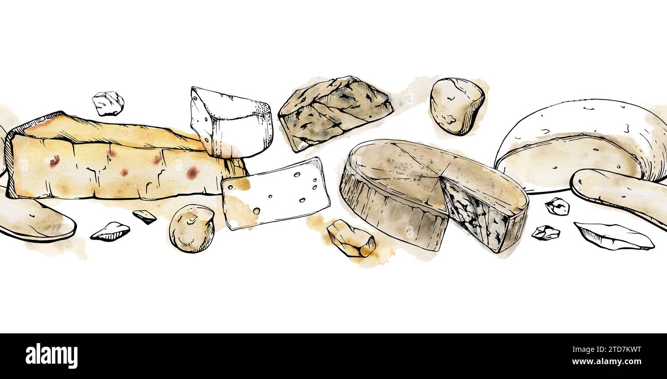 Hand drawn watercolor ink illustration. Assorted cheese mozzarella ...