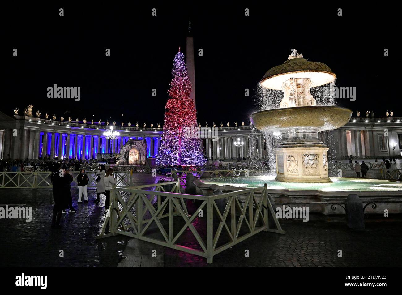 Weihnachtsbaum vor dem Petersdom auf dem Petersplatz in Rom ...