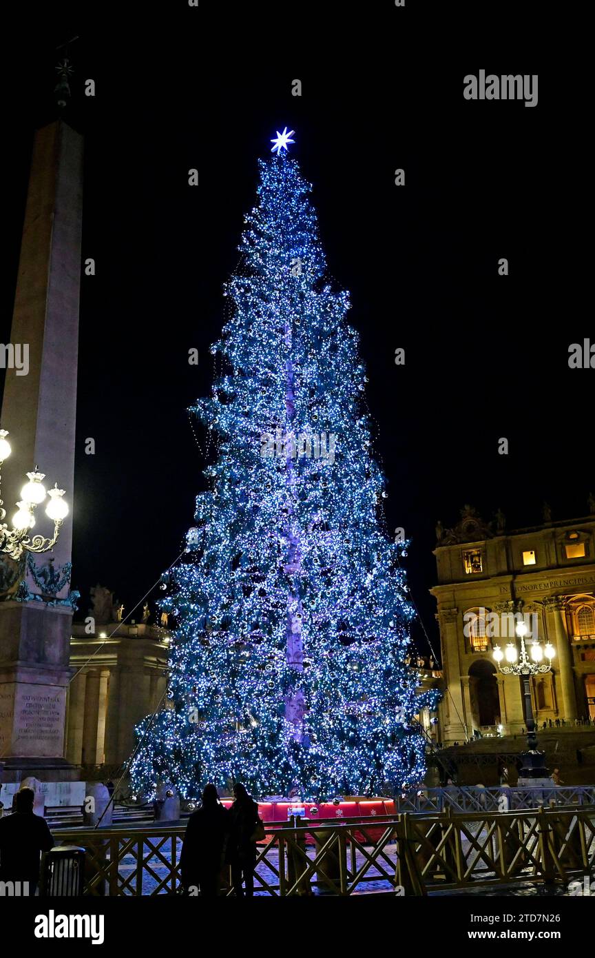 Weihnachtsbaum vor dem Petersdom auf dem Petersplatz in Rom ...