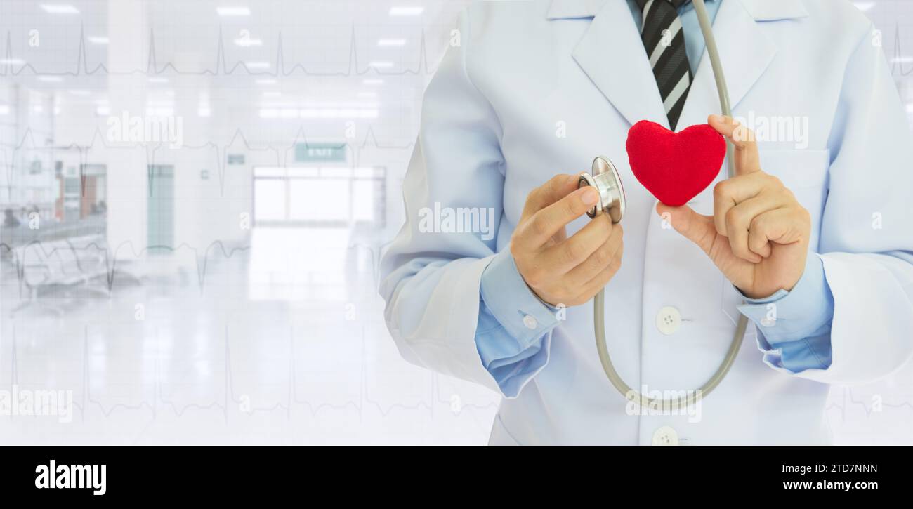 Heart health care. Doctor holding stethoscope test heart medical with ...
