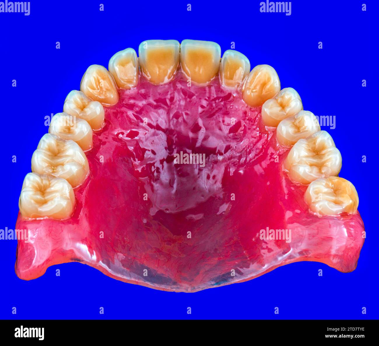 Denture alignment hi-res stock photography and images - Alamy