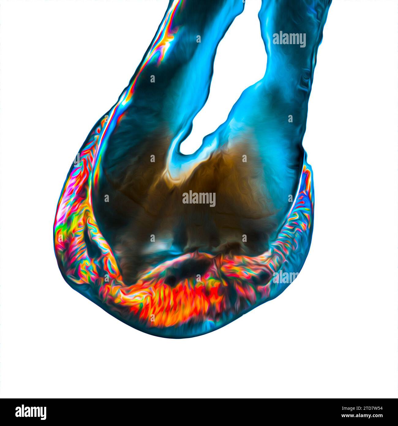 tooth slice macro cross polar picture Stock Photo - Alamy