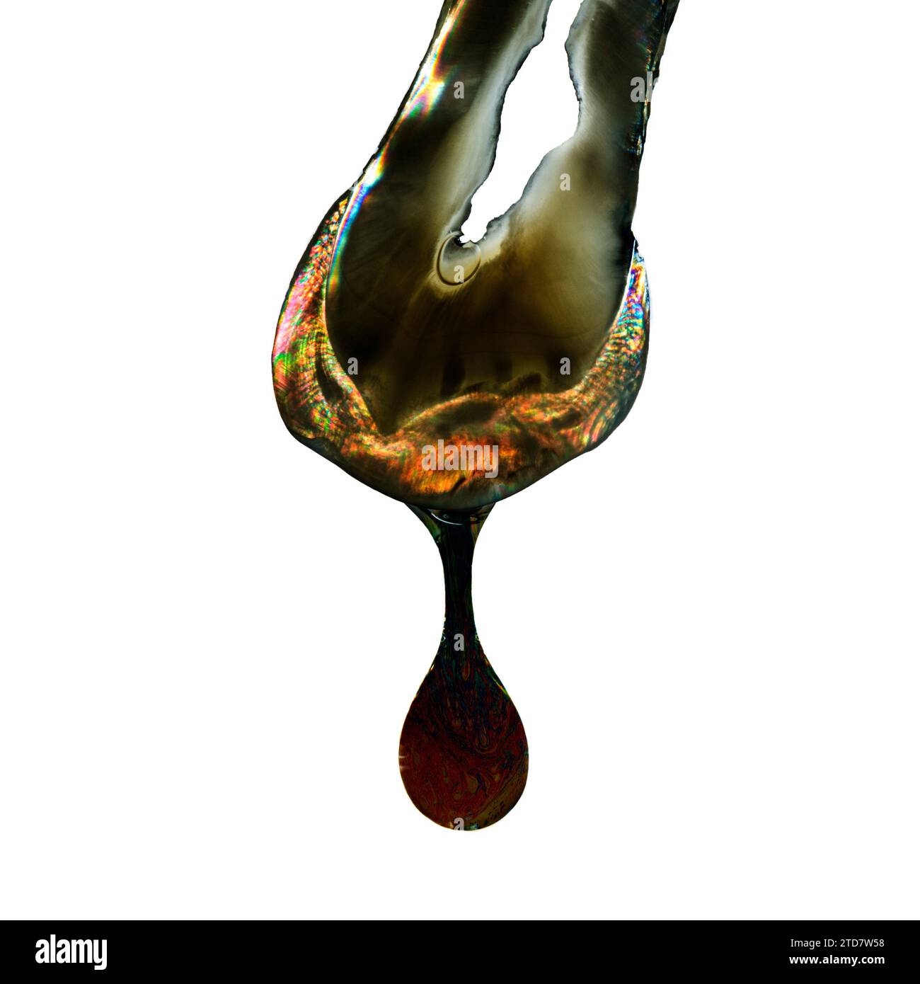 tooth slice macro cross polar picture Stock Photo - Alamy