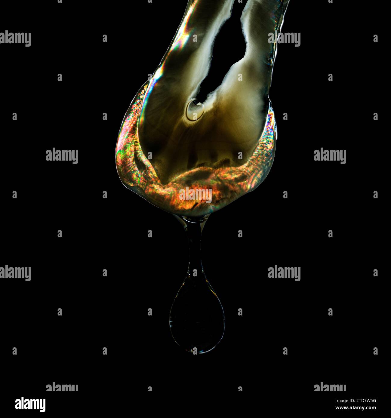 tooth slice macro cross polar picture Stock Photo - Alamy