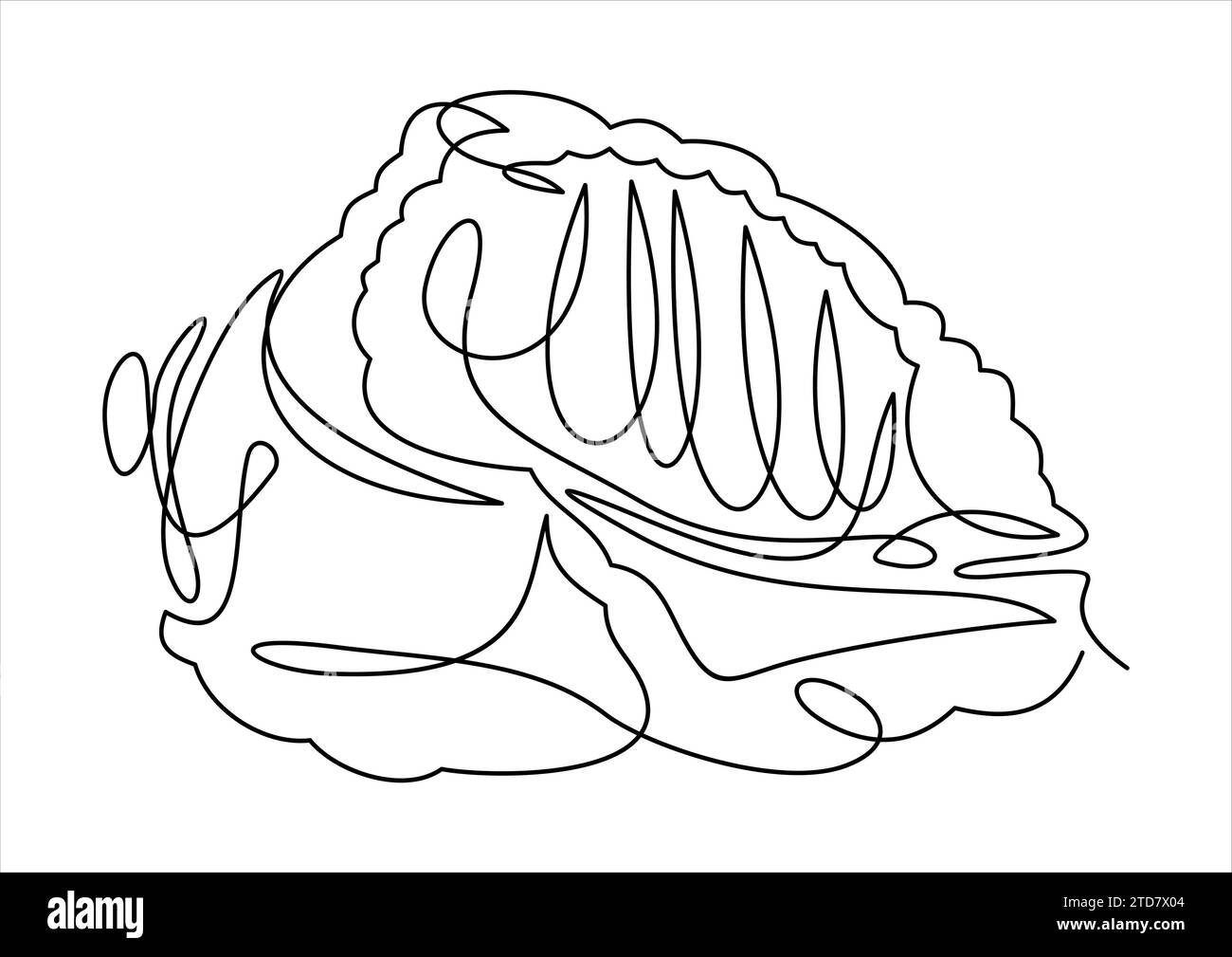 single line drawing of sea shell Stock Vector Image & Art - Alamy