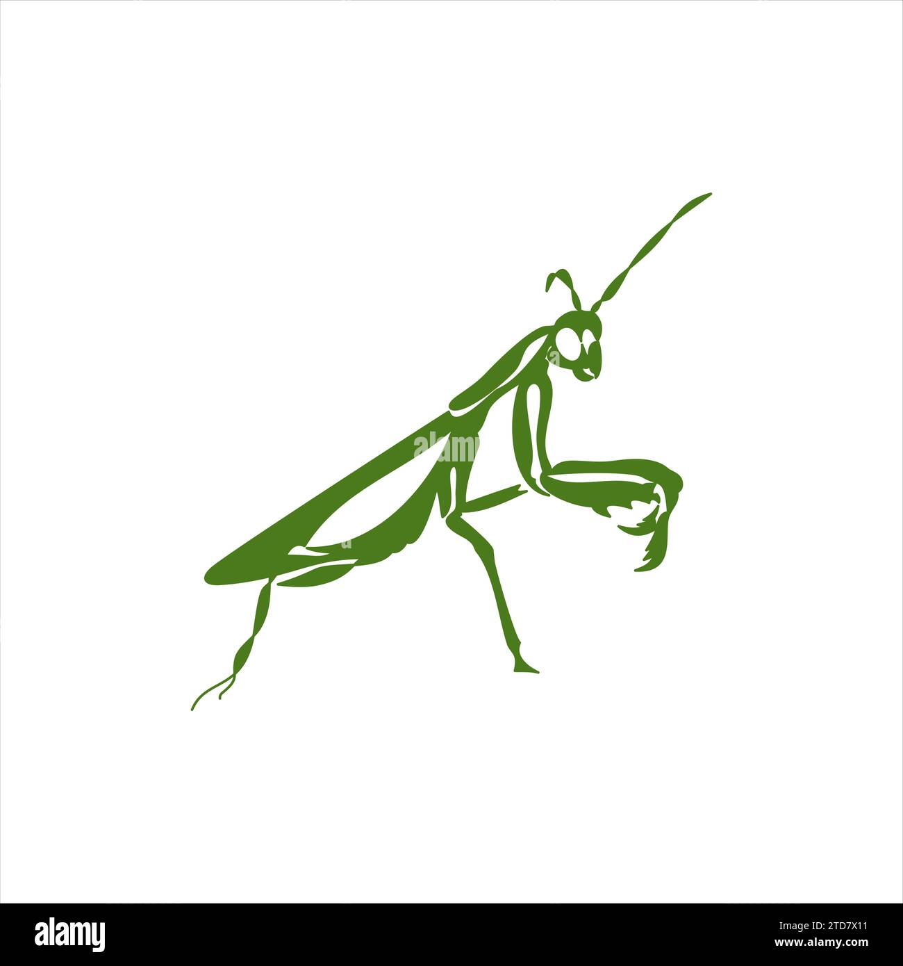 Mantis leaf green Stock Vector Images - Alamy