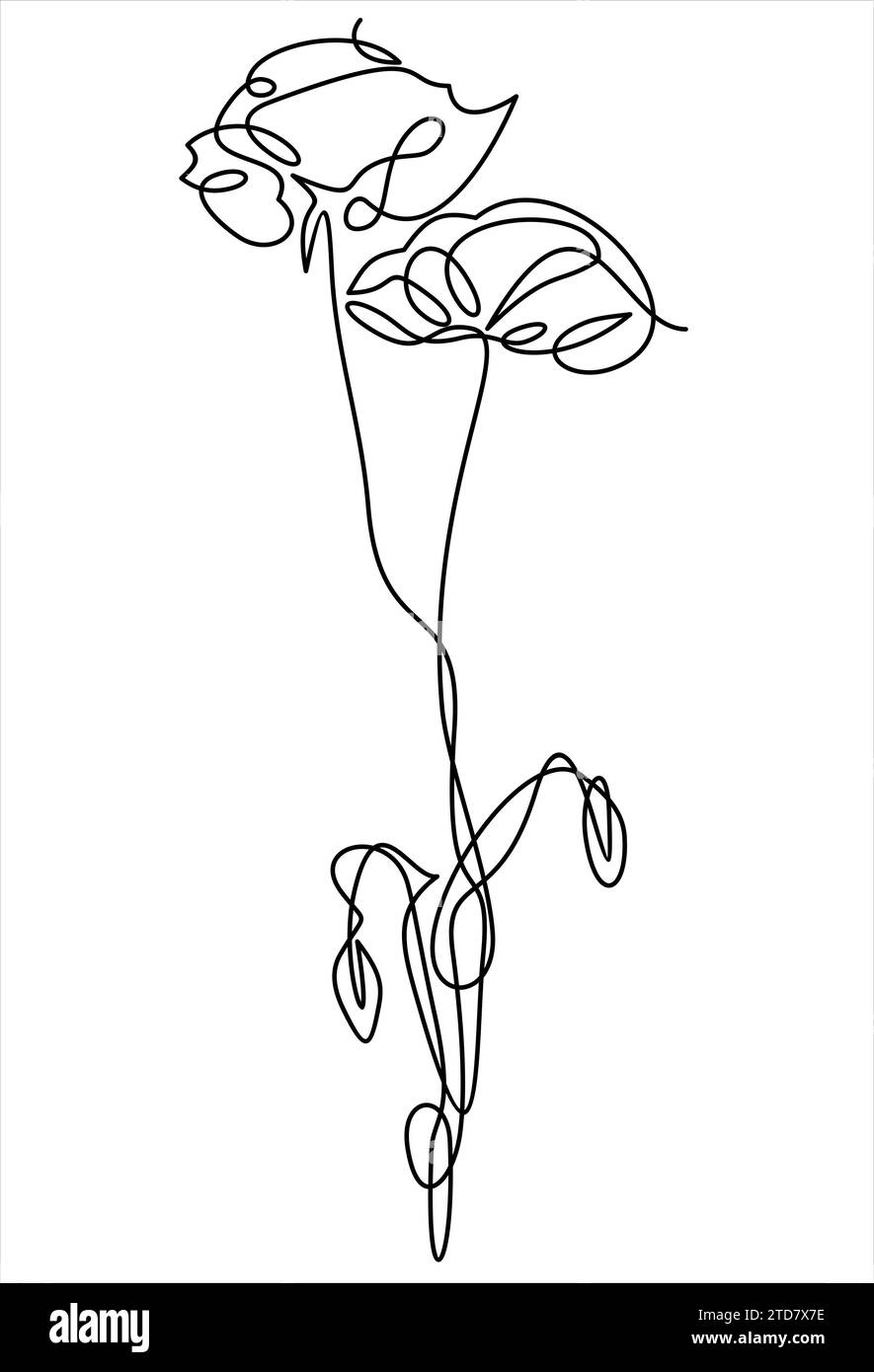 Vector rose flowers continuous Black and White Stock Photos & Images ...