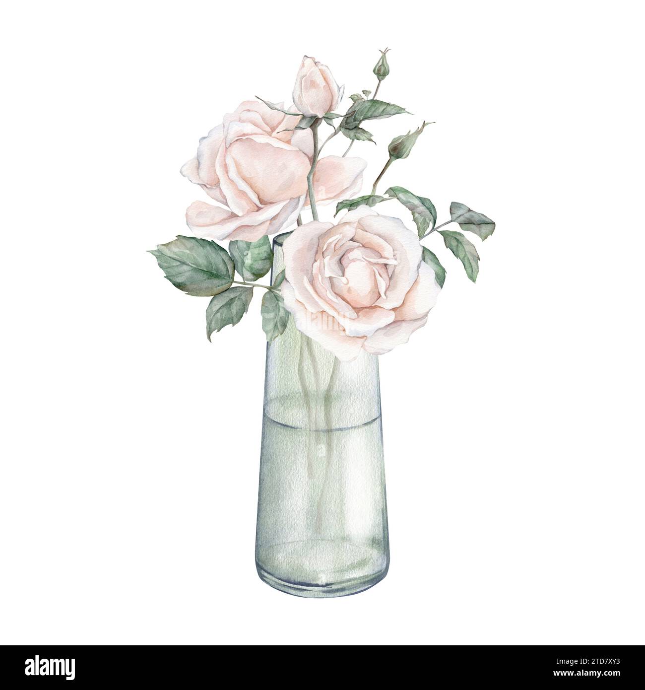 Watercolor composition from peach fuzz color roses and green leaves in ...