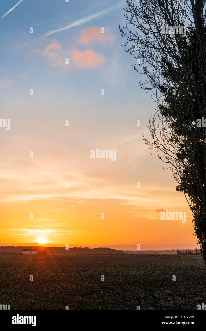Sunrise over a field at farmland at Broomfield, Herne Bay in Kent. Sky ...