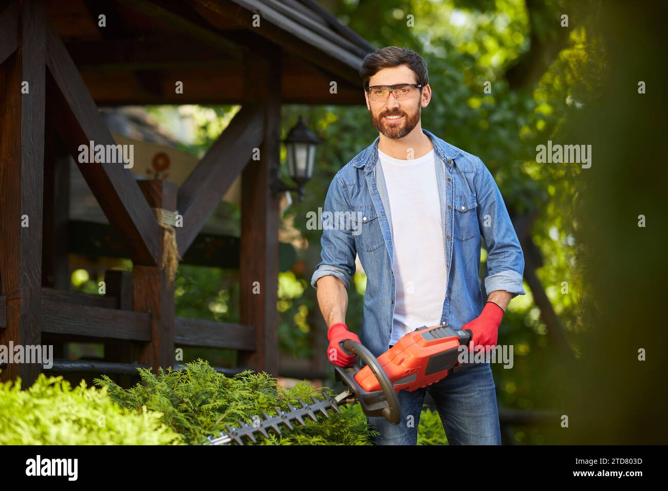 Attractive gardener posing, while trimming conifer bush by electric ...
