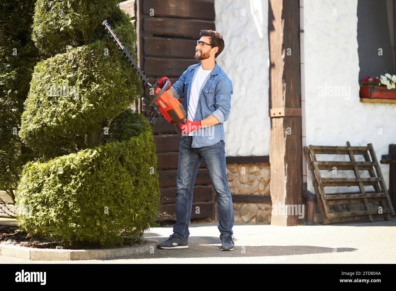 Inspired strong male landscaper creating by cutting tree branches with ...