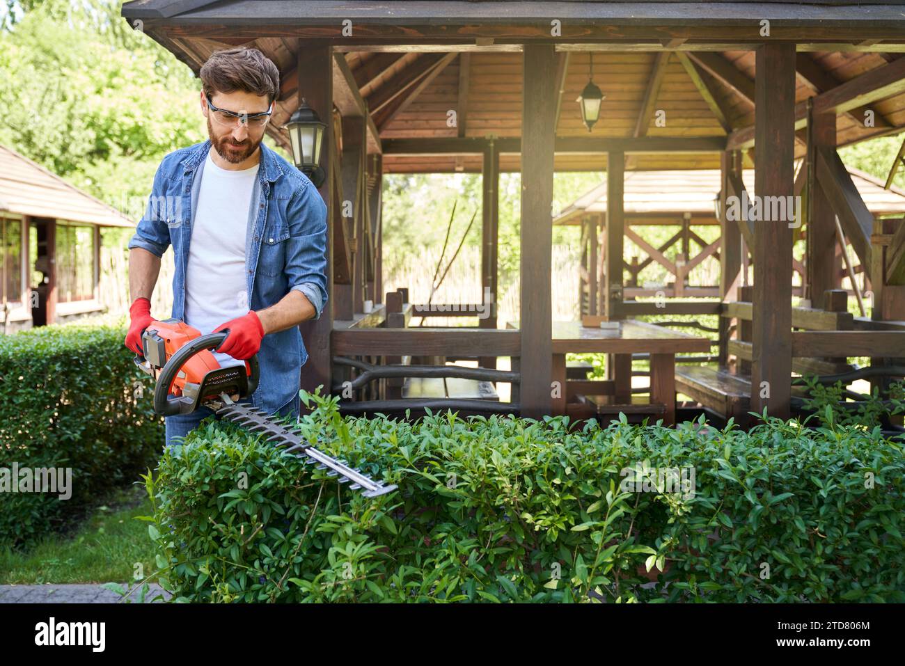 Boxwood front yard hi-res stock photography and images - Alamy