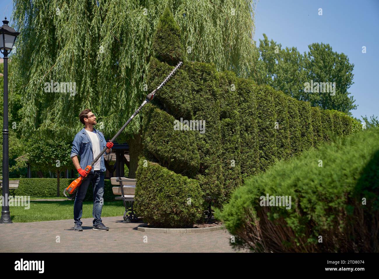 Strong male gardener in casual clothes trimming hedge with modern ...