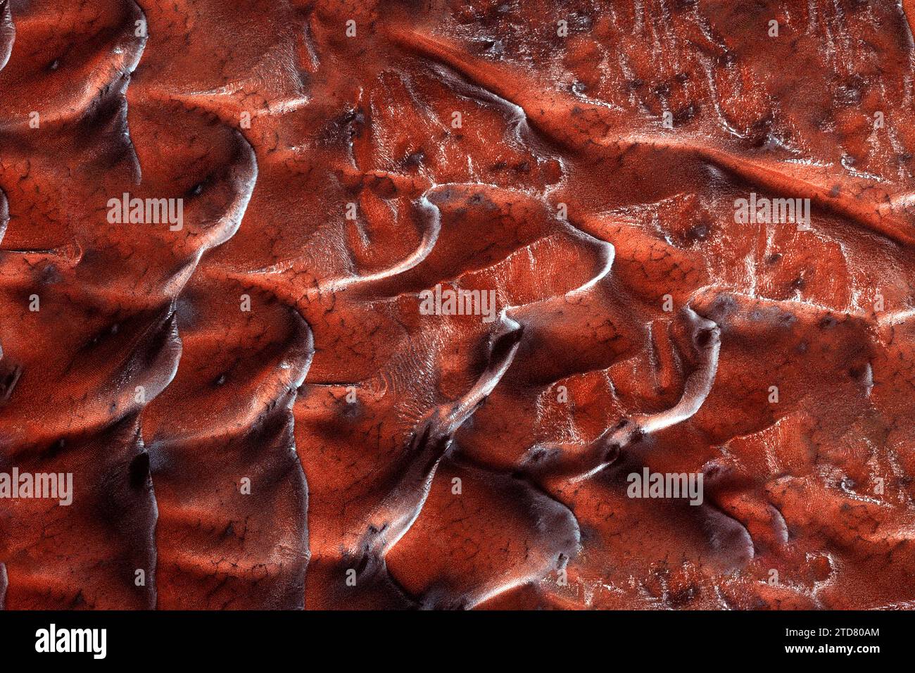Surface of the planet Mars. Elements of this image furnished by NASA ...