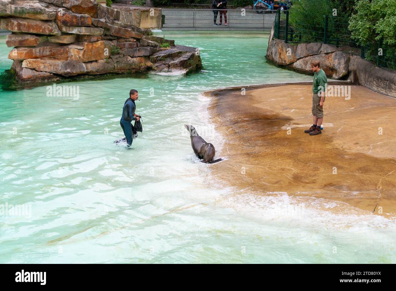 Time of feeding hi-res stock photography and images - Alamy