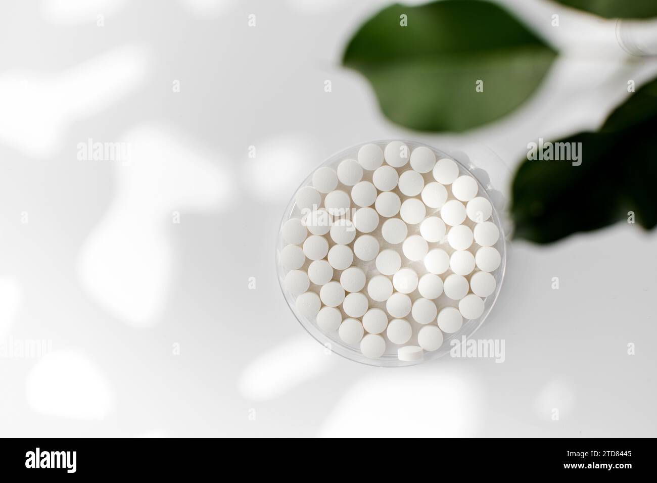 White round tablets with a natural composition. Tablets, minerals and ...