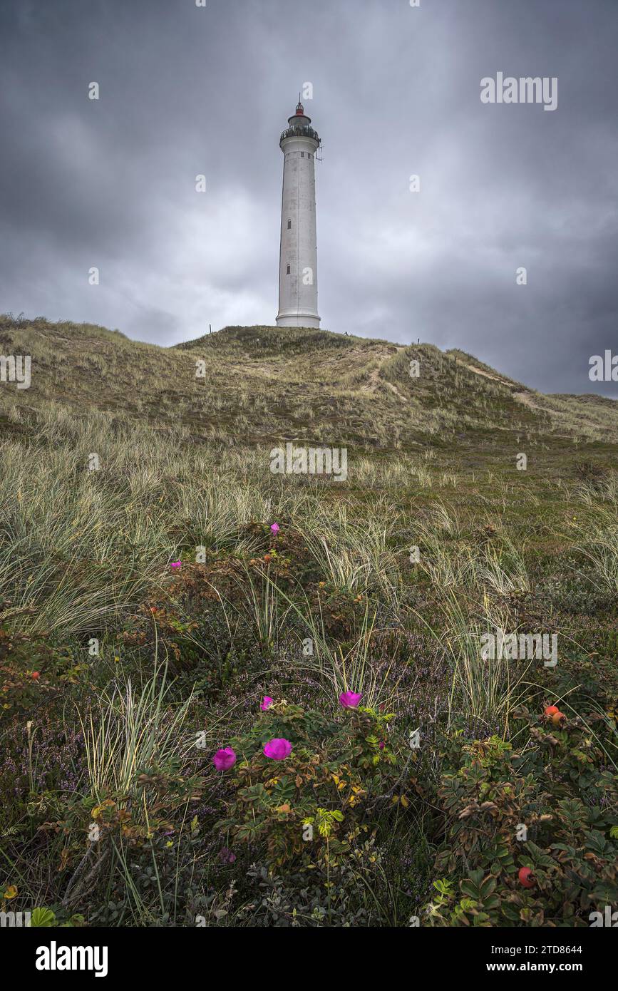 Lyngvig lighthouse in denmark hi-res stock photography and images - Alamy