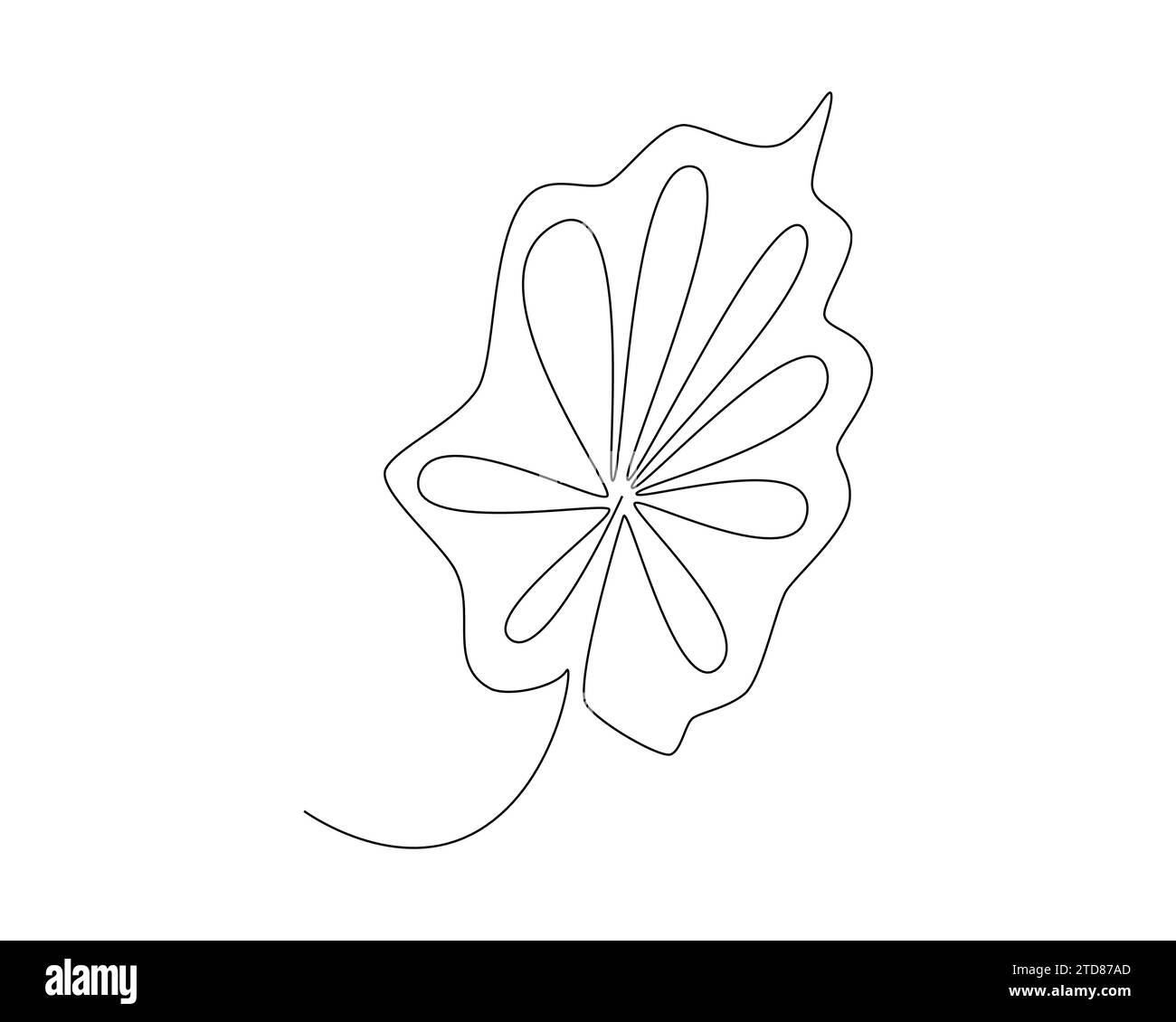 continuous line drawing of a tropical leaf. Vector illustration on ...