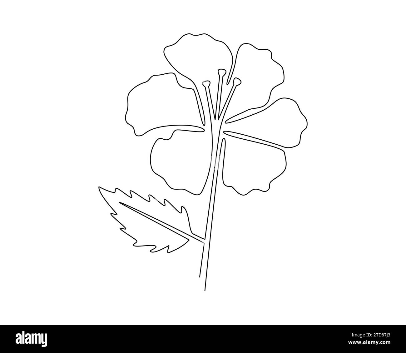 Hibiscus flower vector hi-res stock photography and images - Alamy