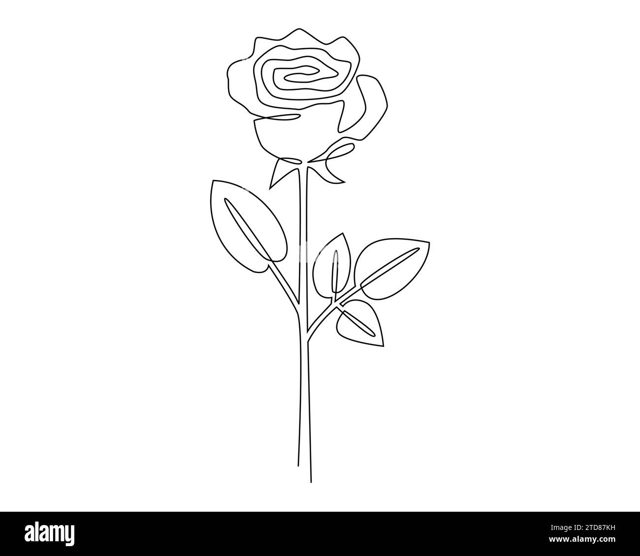 Continuous One Single Line Drawing Rose Flower Icon Vector Illustration