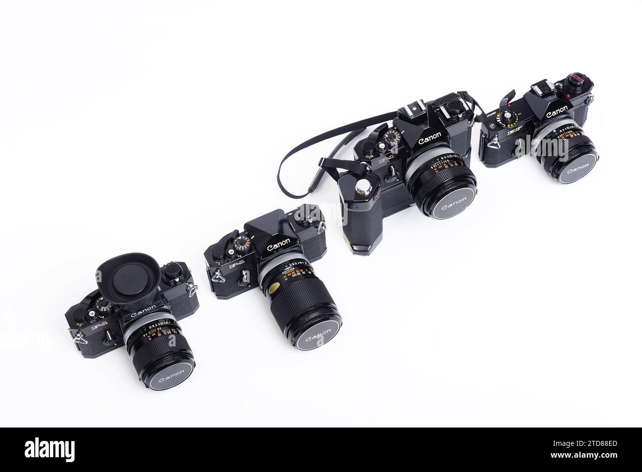 Canon, camera, film, photography, traditional, analogue, manual ...