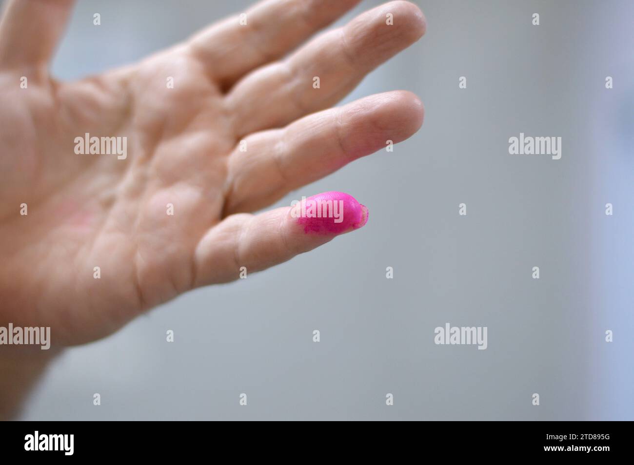 Cairo, Egypt, December 12 2023: A voter hand stained with election ink ...