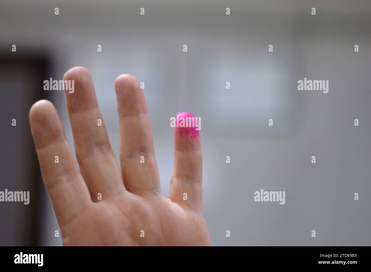 Cairo, Egypt, December 12 2023: A voter hand stained with election ink ...