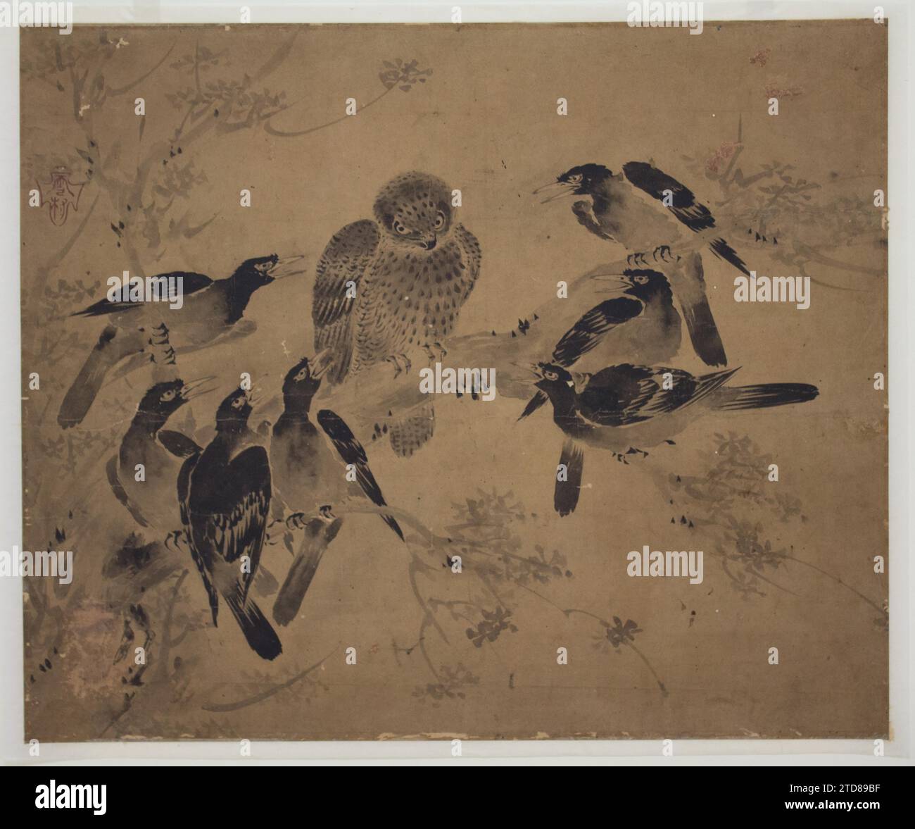 Mynah Birds Attacking an Owl 1929 by Sesson Shukei Stock Photo - Alamy
