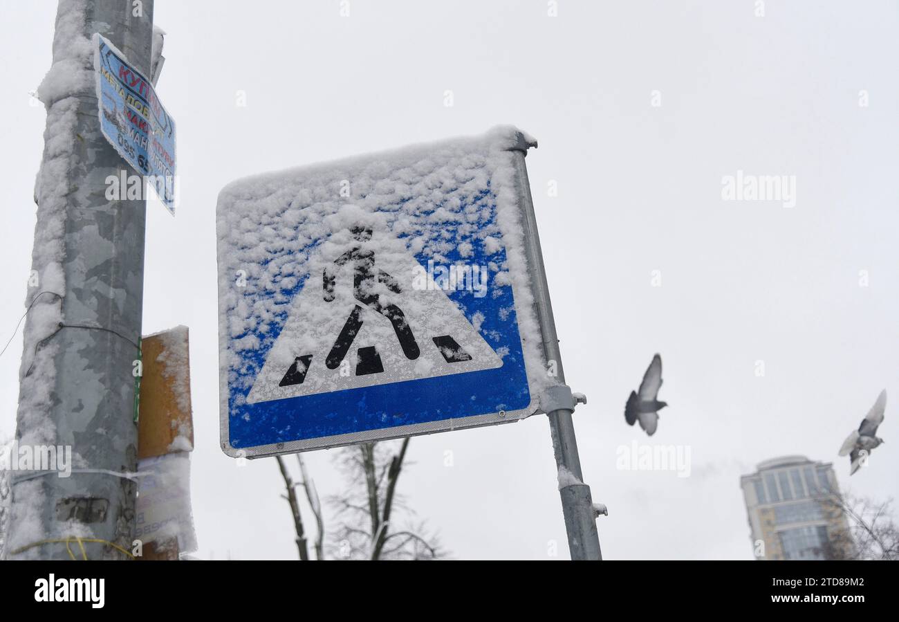 Non Exclusive: KYIV, UKRAINE - DECEMBER 14, 2023 - Snow dusts a zebra ...