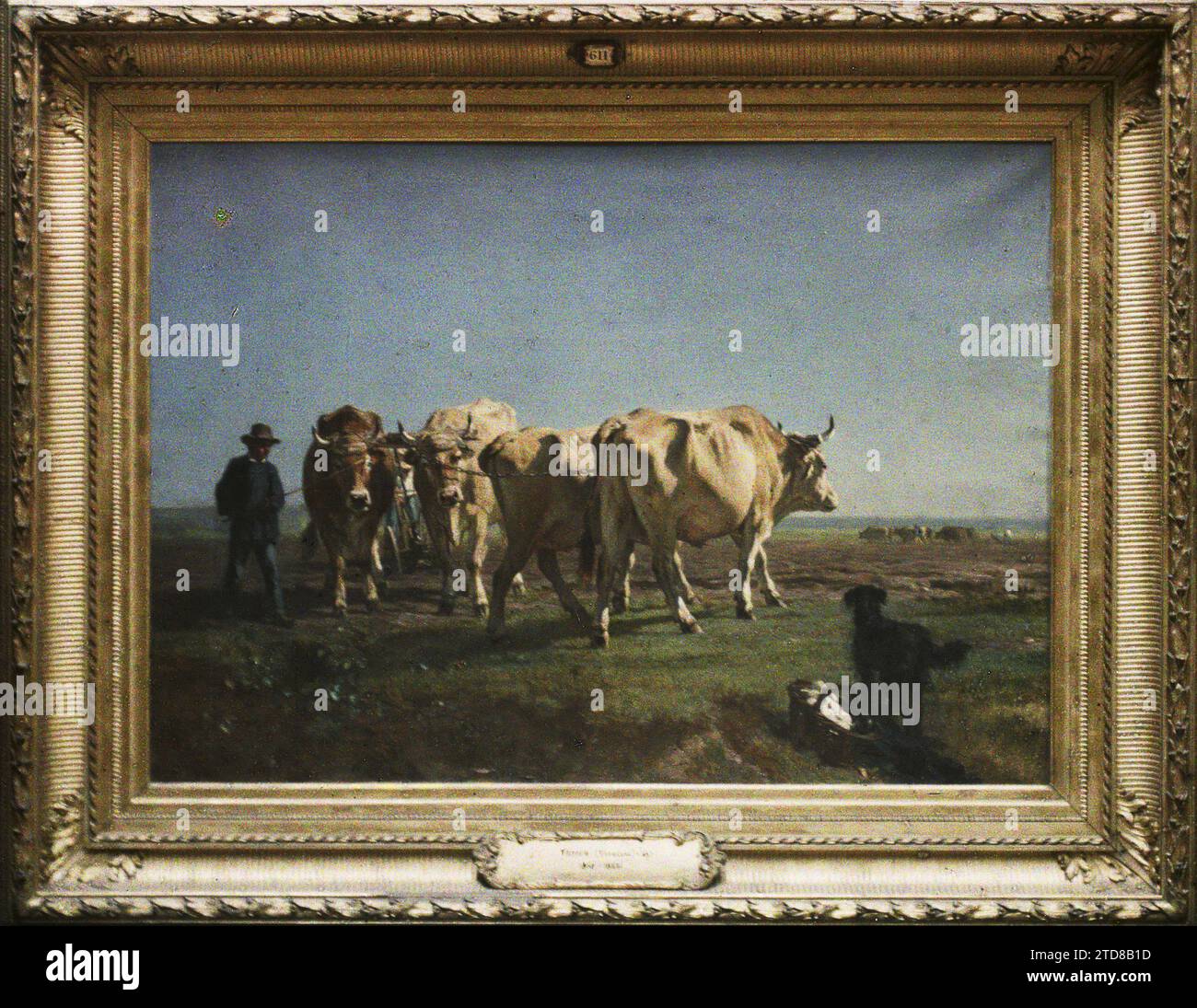 Bordeaux, France The painting 'Ox at plowing' by Constant Troyon ...