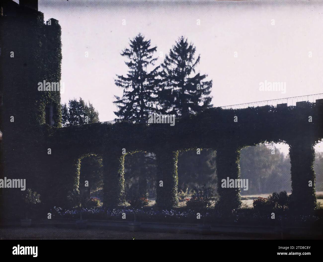 Personality of nobility ivy portico park garden palace castle hi-res ...