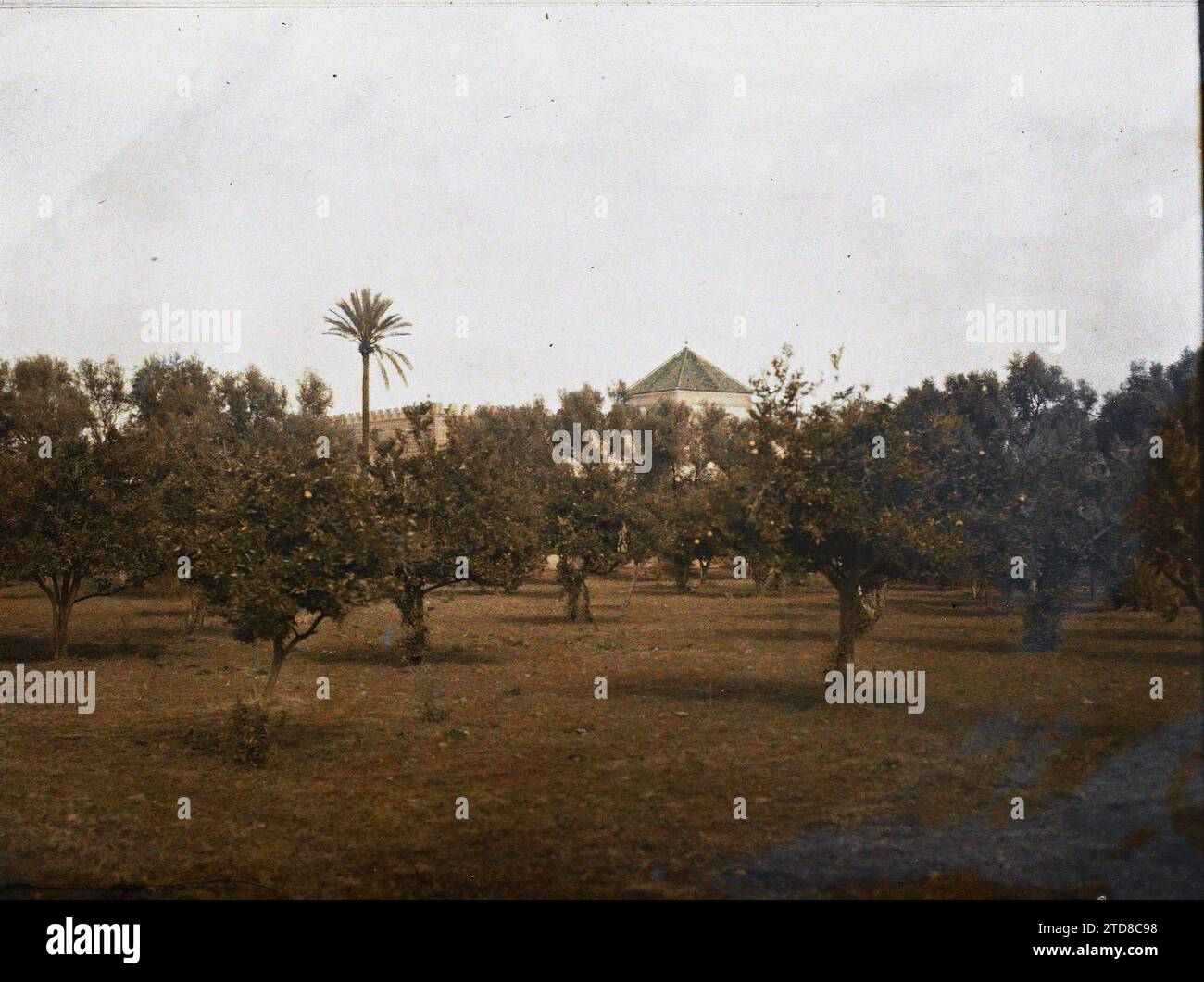 Marrakech, Morocco The gardens of Dar el Maghzen, Habitat, Architecture ...