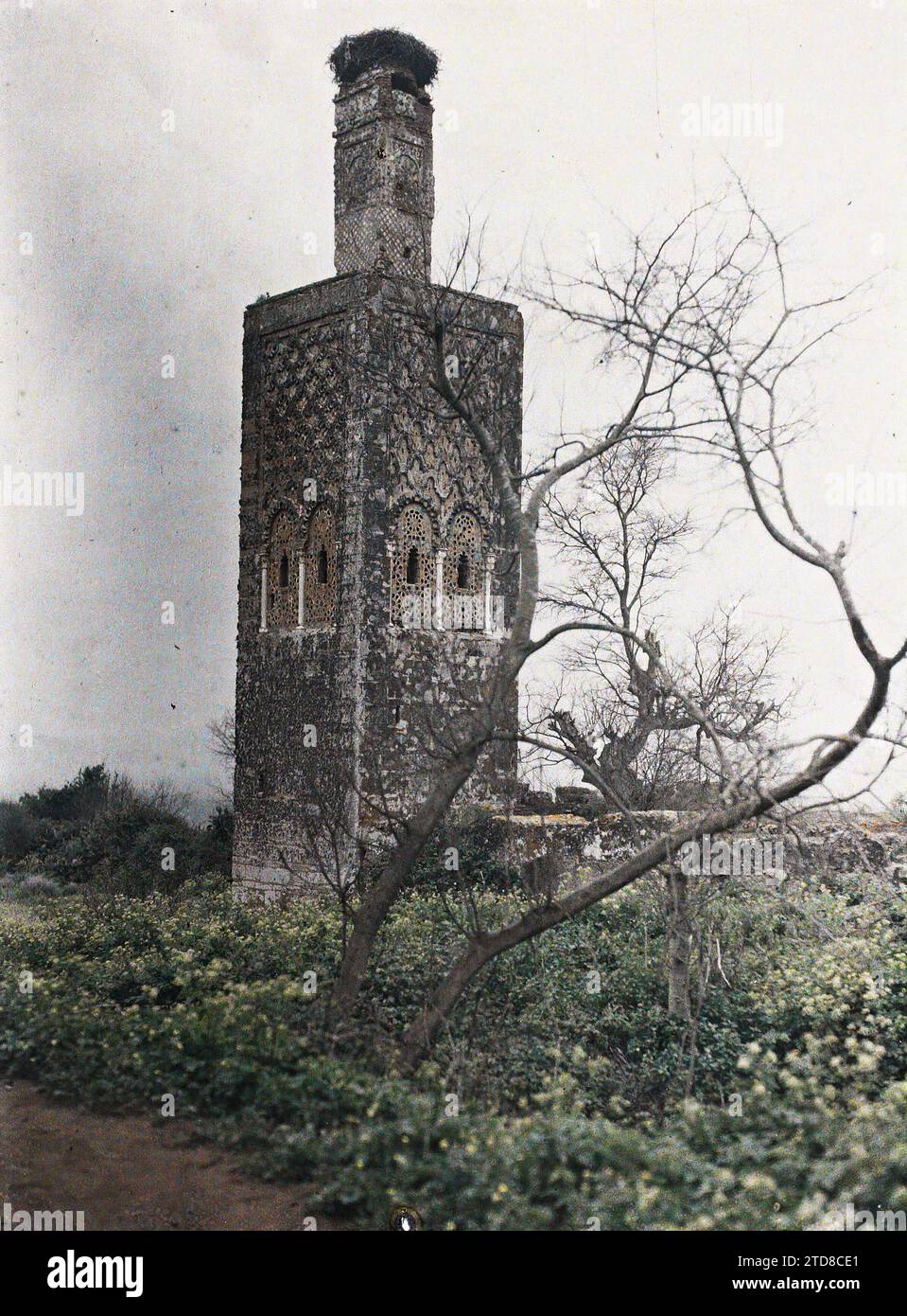 Rabat, Morocco Minaret of the Chellah Mosque, Religion, Habitat ...