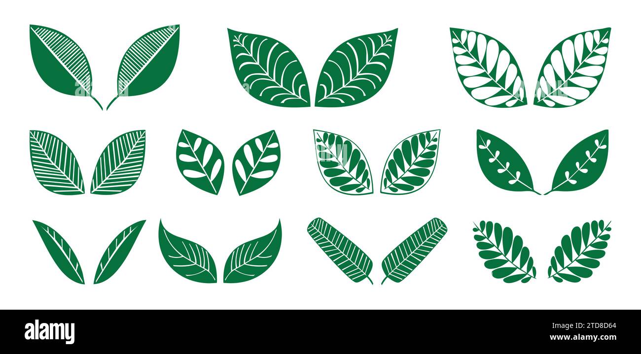 Tropical organic leaves silhouette icon set collection Stock Vector ... Tropical organic leaves silhouette icon set collection Stock Vector ...