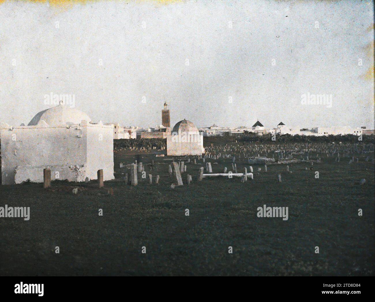 Salé, Morocco The Muslim cemetery and view of the city, Habitat ...