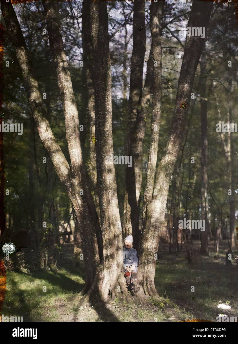 Compiègne, Oise, Picardy, France Compiègne Forest [arranged for a ...