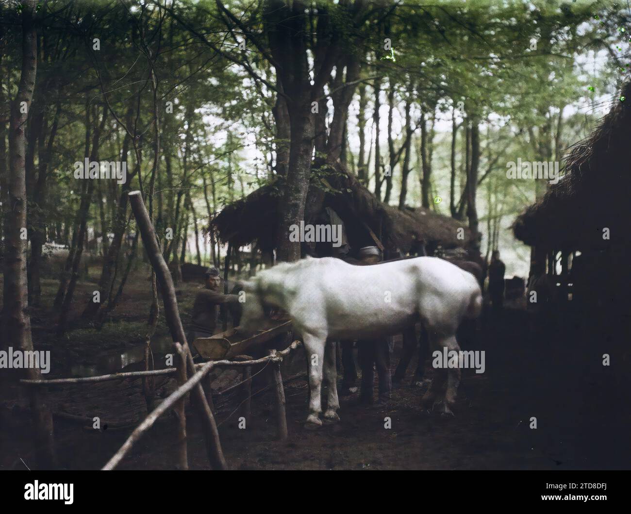 Compiègne, Oise, Picardy, France Compiègne Forest [the stables of a ...
