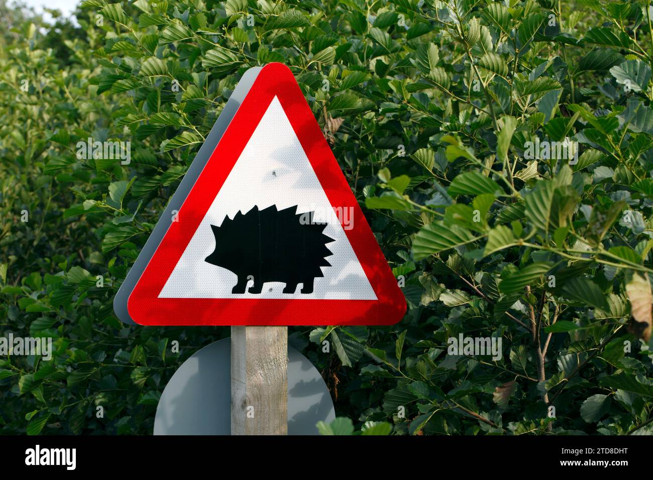Hedgehog crossing sign hi-res stock photography and images - Alamy