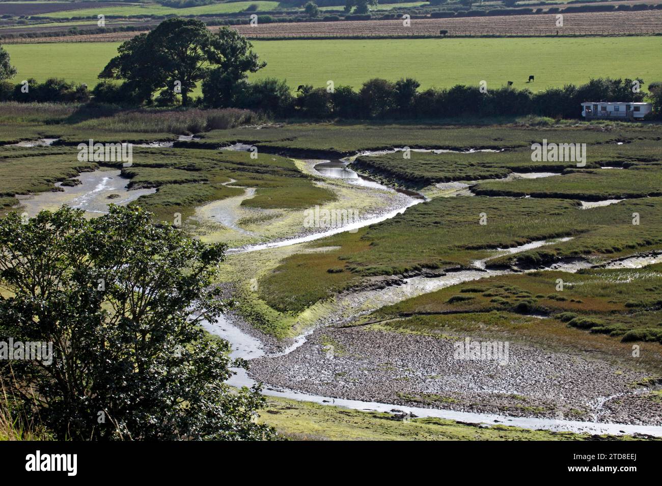 Saltmarshes at Alnwick on the tidal estuary Stock Photo - Alamy