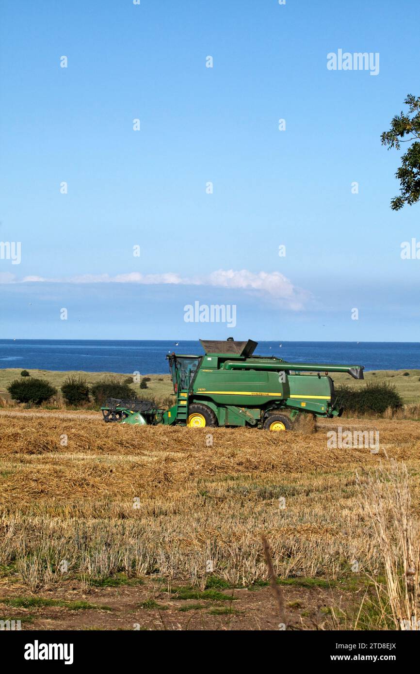 Combine Harvesting seperating grain from chaff Stock Photo - Alamy