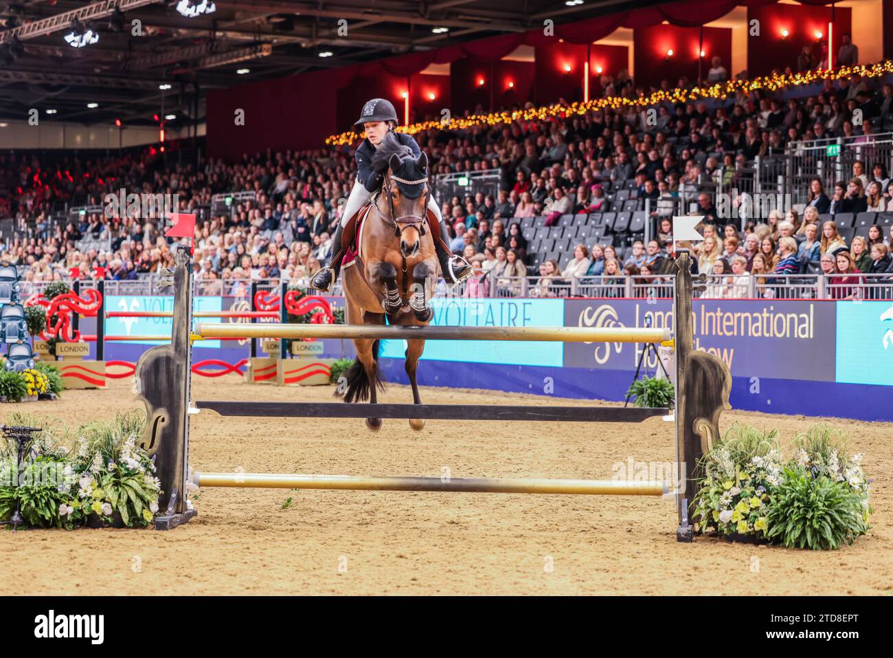 London excel horse sompatition hi-res stock photography and images - Alamy
