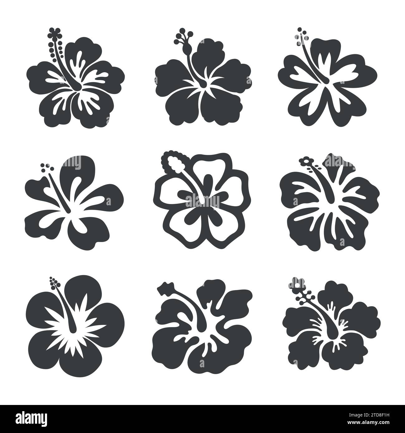 Silhouette floral botanical collection Cut Out Stock Images & Pictures ...