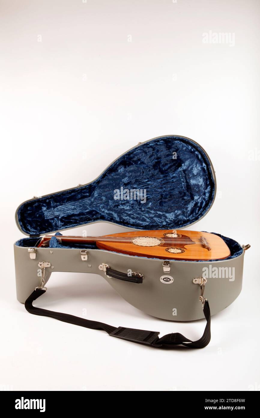 Egyptian Oud. 11 string with highly decorated soundholes. String ...