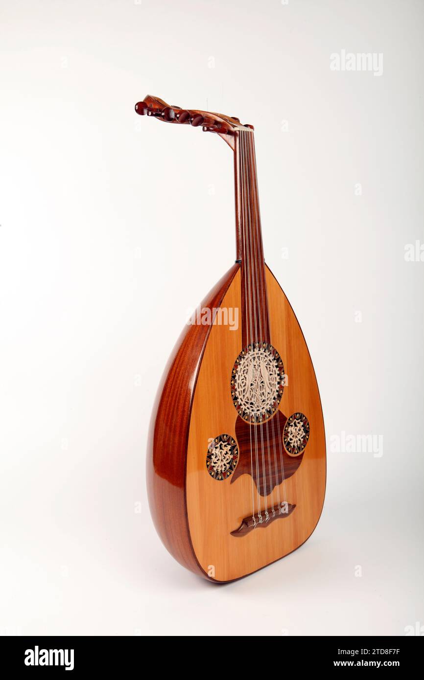 Egyptian Oud. 11 string with highly decorated soundholes. String ...